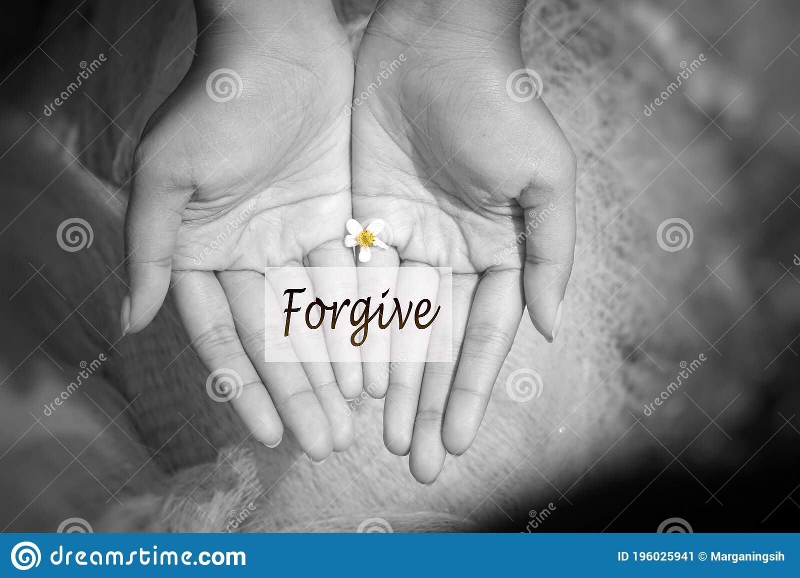The What and the Why of Forgiveness – Bethany LaShell